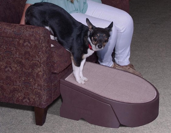 Best Pet Steps and Stairs of 2023 (Top 5): Reviews & Buyer’s Guide